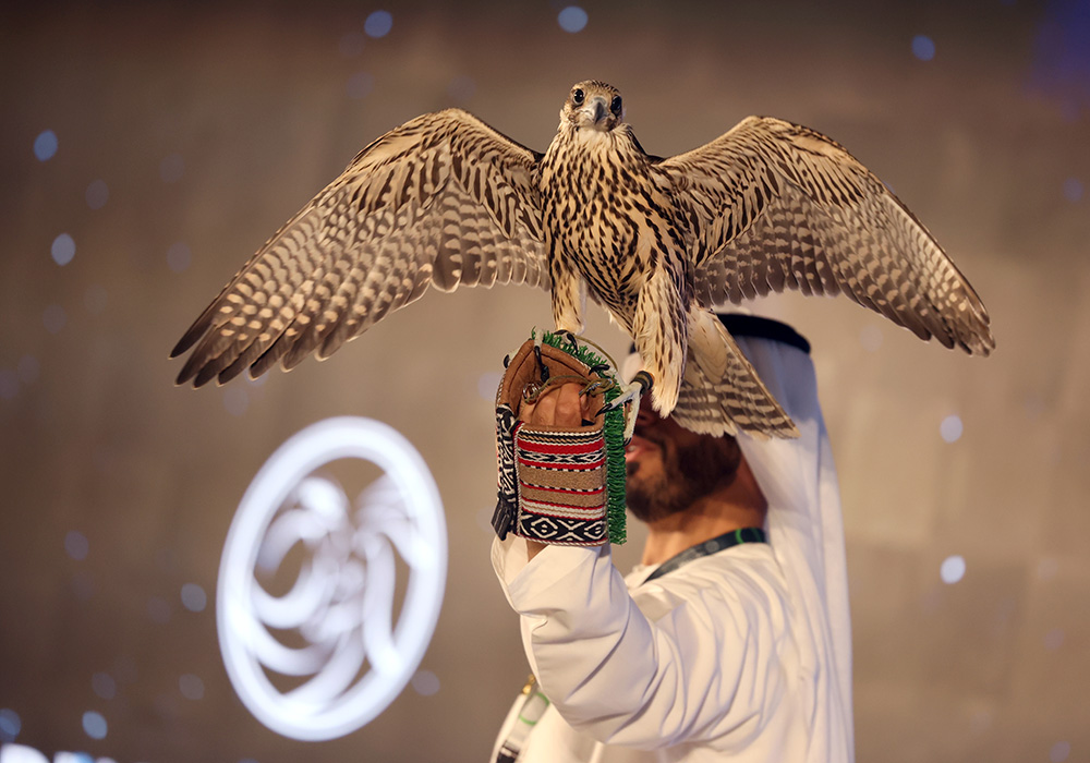 Under the patronage of His Highness Sheikh Hamdan bin Zayed Al Nahyan ...