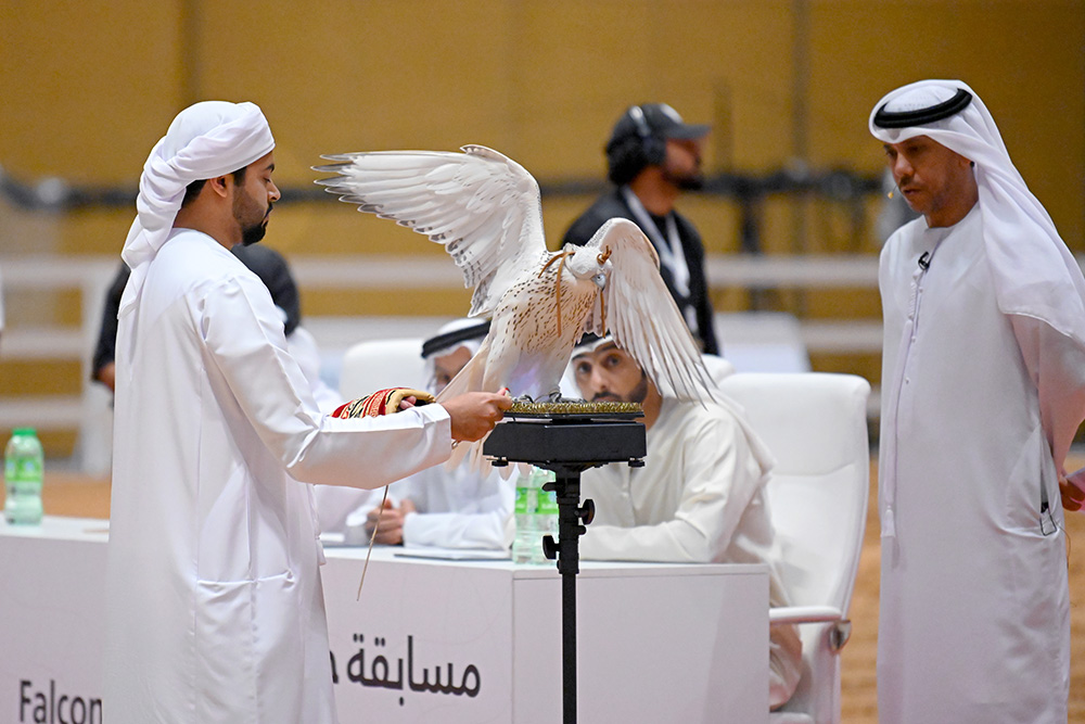 ADIHEX Falcon Beauty Contest Celebrates Excellence with Two Winning ...