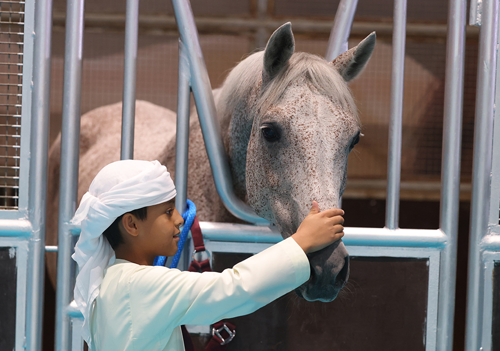 ADIHEX 2024: A celebration of equestrian excellence and cultural ...